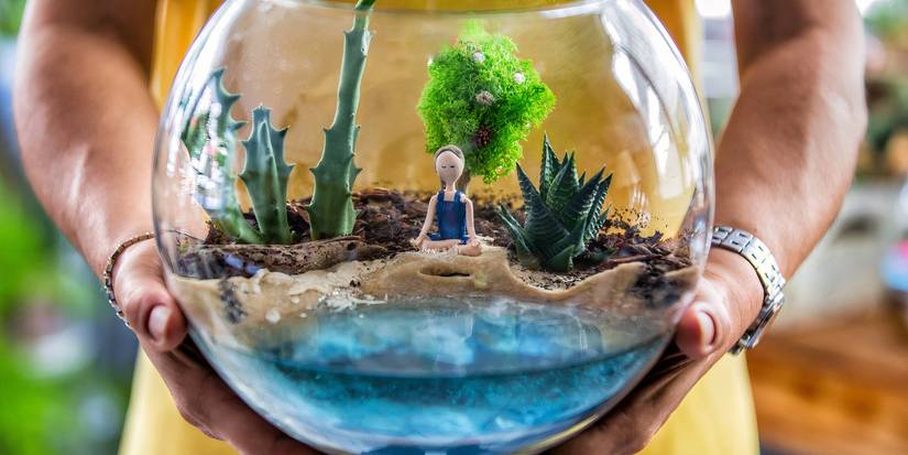 Create a DIY Terrarium With Inspiration From 5 Glass Terrariums