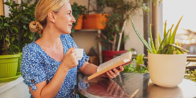 6 Ways to Build a Cozy Reading Nook in Your Garden