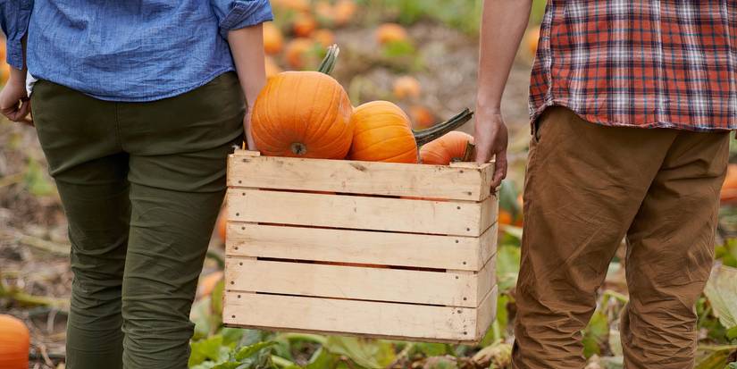 How to Grill Pumpkin: Easy BBQ Recipes and Tips for Fall