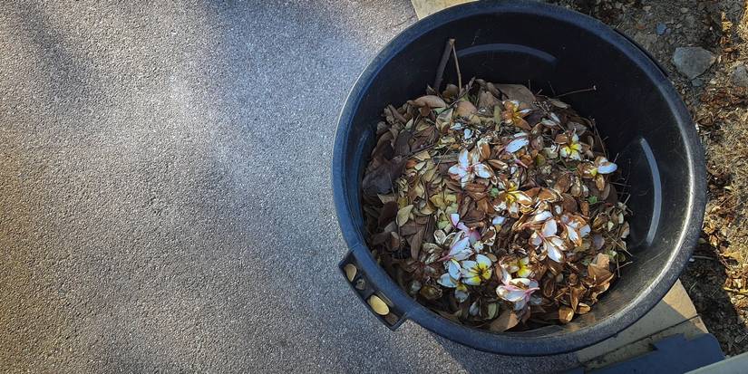 How to Build a Perfect Compost Pile Using Fall Leaves