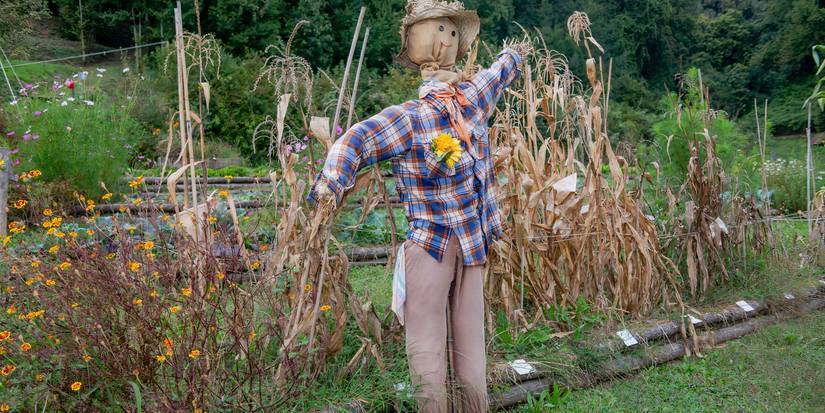 Build a Garden Scarecrow With Style: 5 Creative DIY Ideas