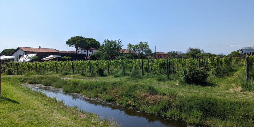 Sustainable Garden Irrigation: How to Create an Eco-Friendly Canal System