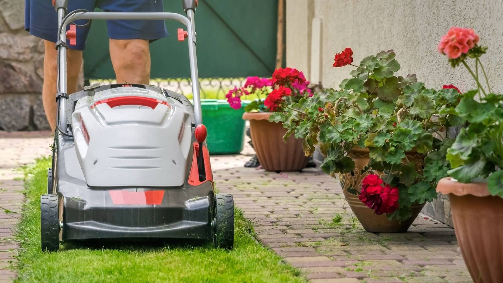 Step-by-Step Guide to Installing a Durable Mow Strip