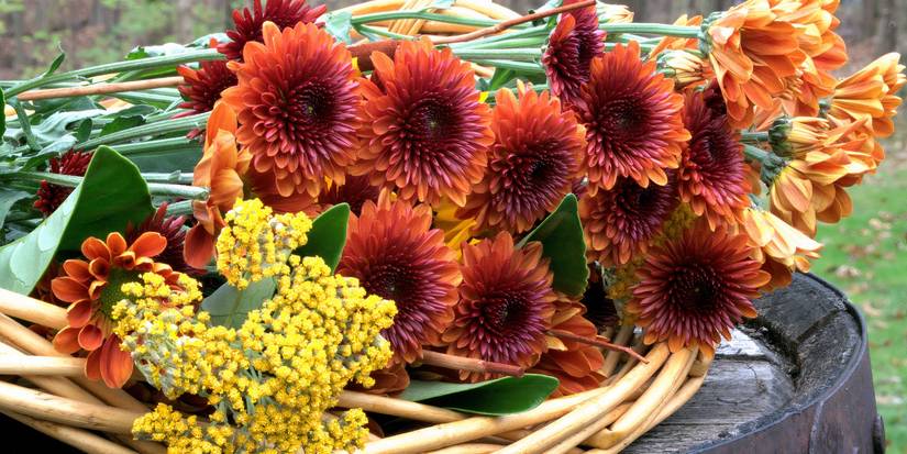 Easy Ways to Make Dried Floral Arrangements For Seasonal Home Decor