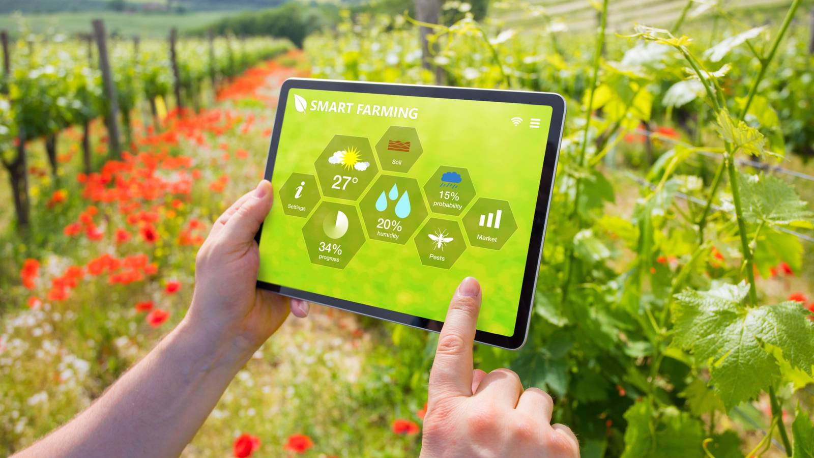 Best Plant Care App: Discover 5 Solid Gardening Tech Options
