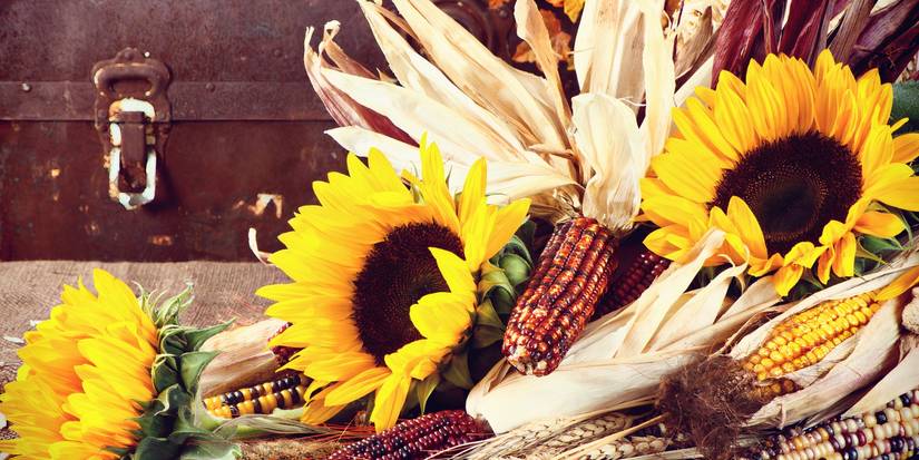 DIY Fall Crafts: Use Corn Ears For Indoor and Outdoor Decor