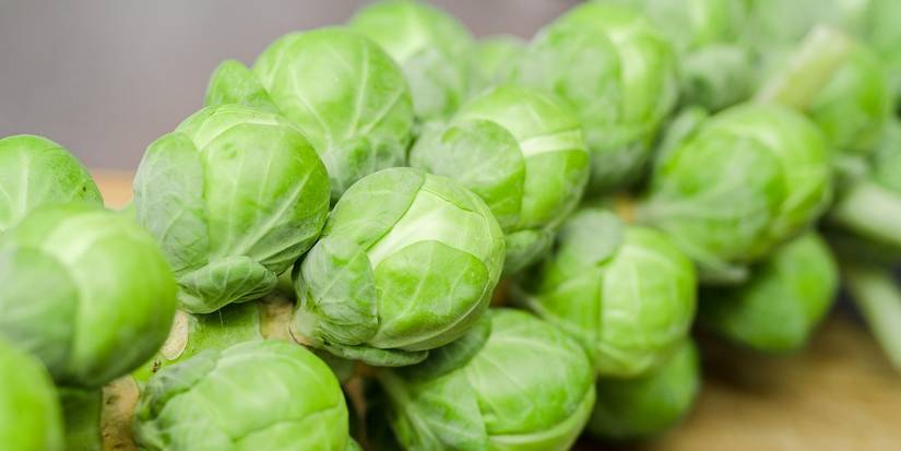 Plant These Veggies in Your Fall Garden