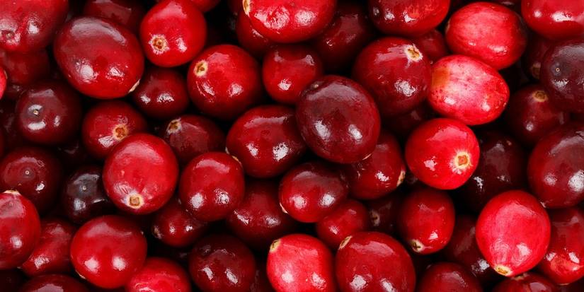 Seasonal Produce Guide: 5 of the Best Fall Fruits