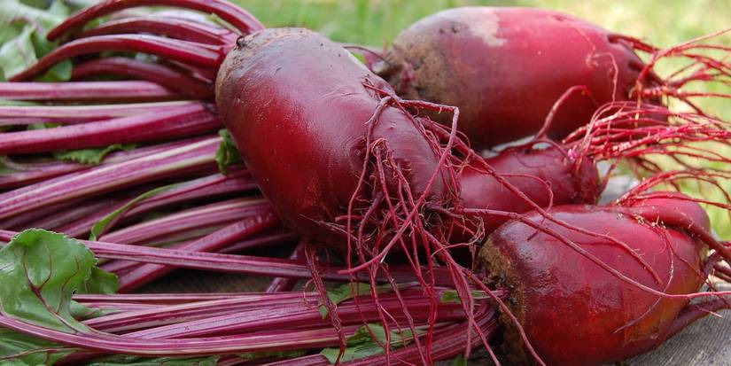 Late Fall Harvest: 7 Vegetables You Can Still Enjoy in November