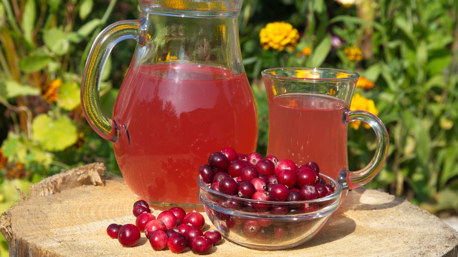 Healthy Juicing: Make 5 Healthy Cranberry Juice Recipes