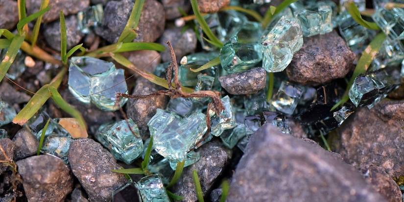 Growing Green: How Recycled Glass Could Replace Fertilizer in Your Garden