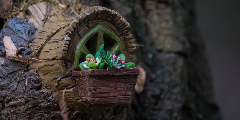 5 Landscaping Ideas: Turn an Ordinary Knothole Into a Focal Point