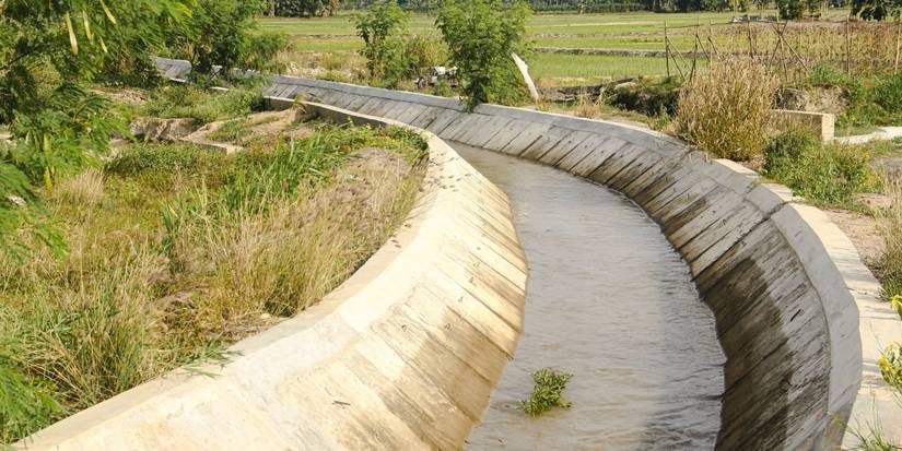 Sustainable Garden Irrigation: How to Create an Eco-Friendly Canal System