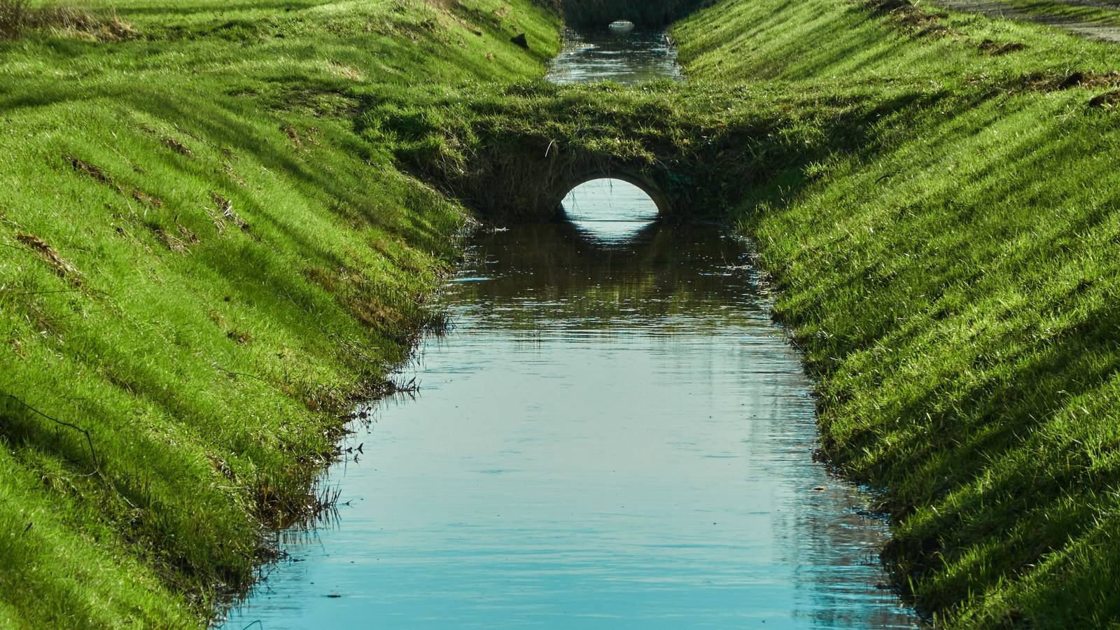 6 Tips To Transform a Drainage Ditch Into Colorful Landscaping ideas
