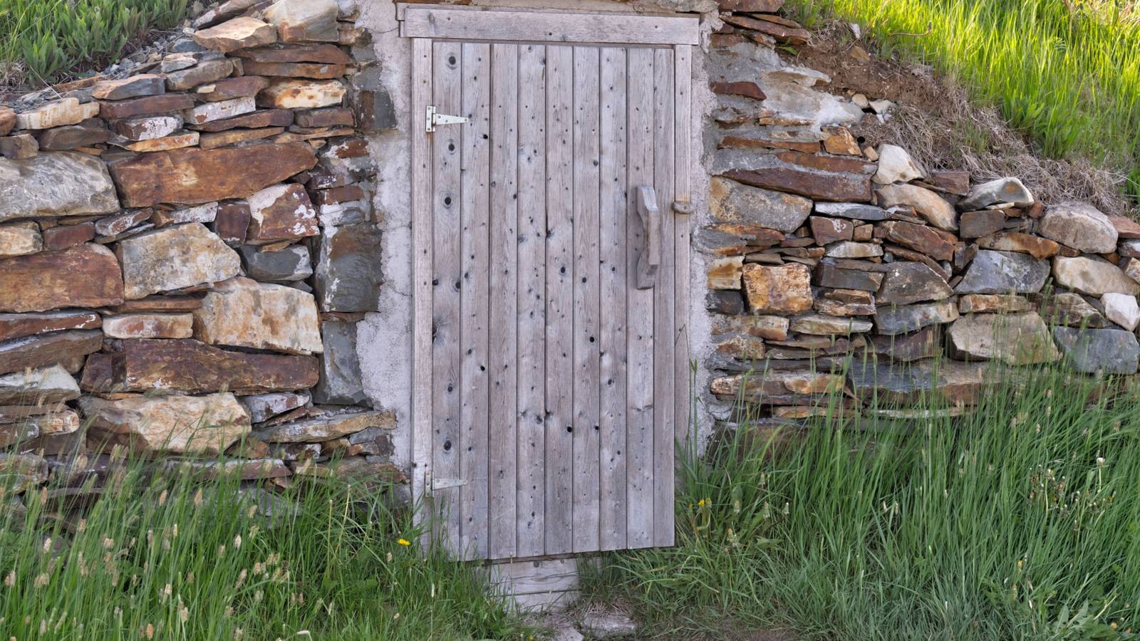 Step-by-Step Guide to Building a Root Cellar for Fresh Food Storage