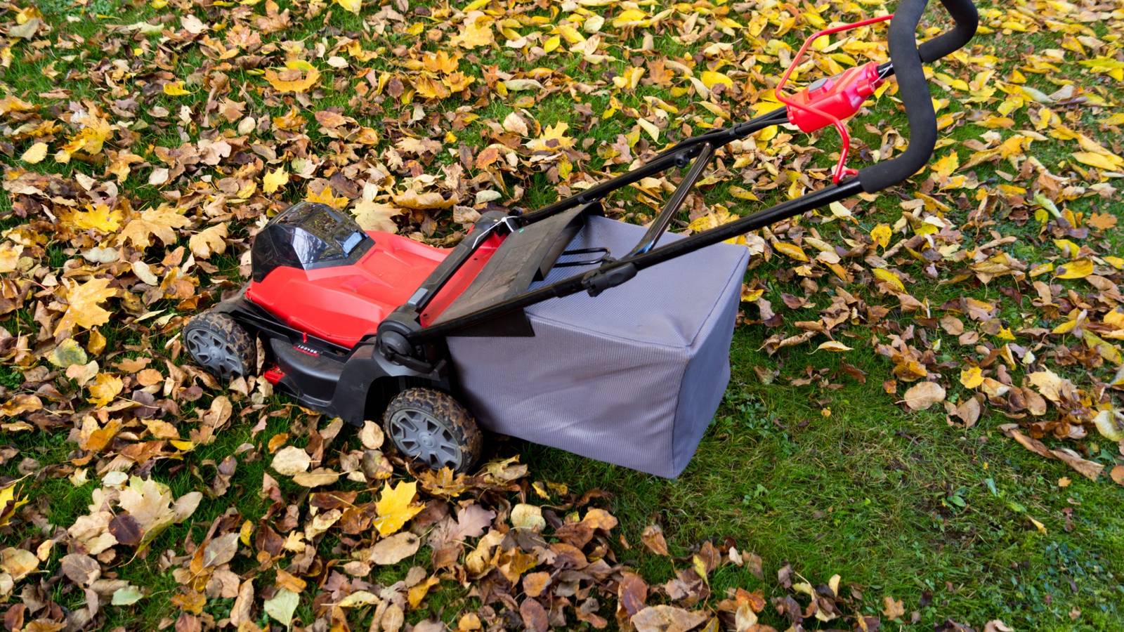 Mow Over Leaves To Create Natural Mulch