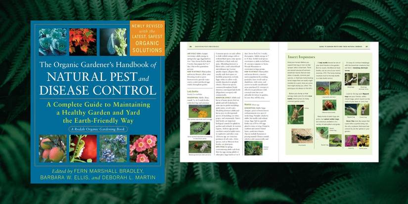 6 Books For Beginner and Advanced Home Gardeners