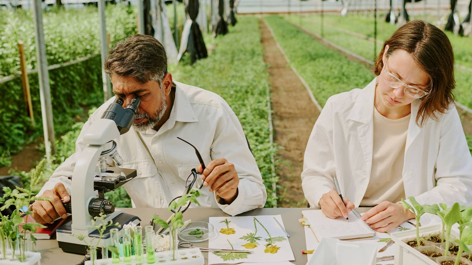 Gardening School Explained: Education Paths For Serious Plant Growers