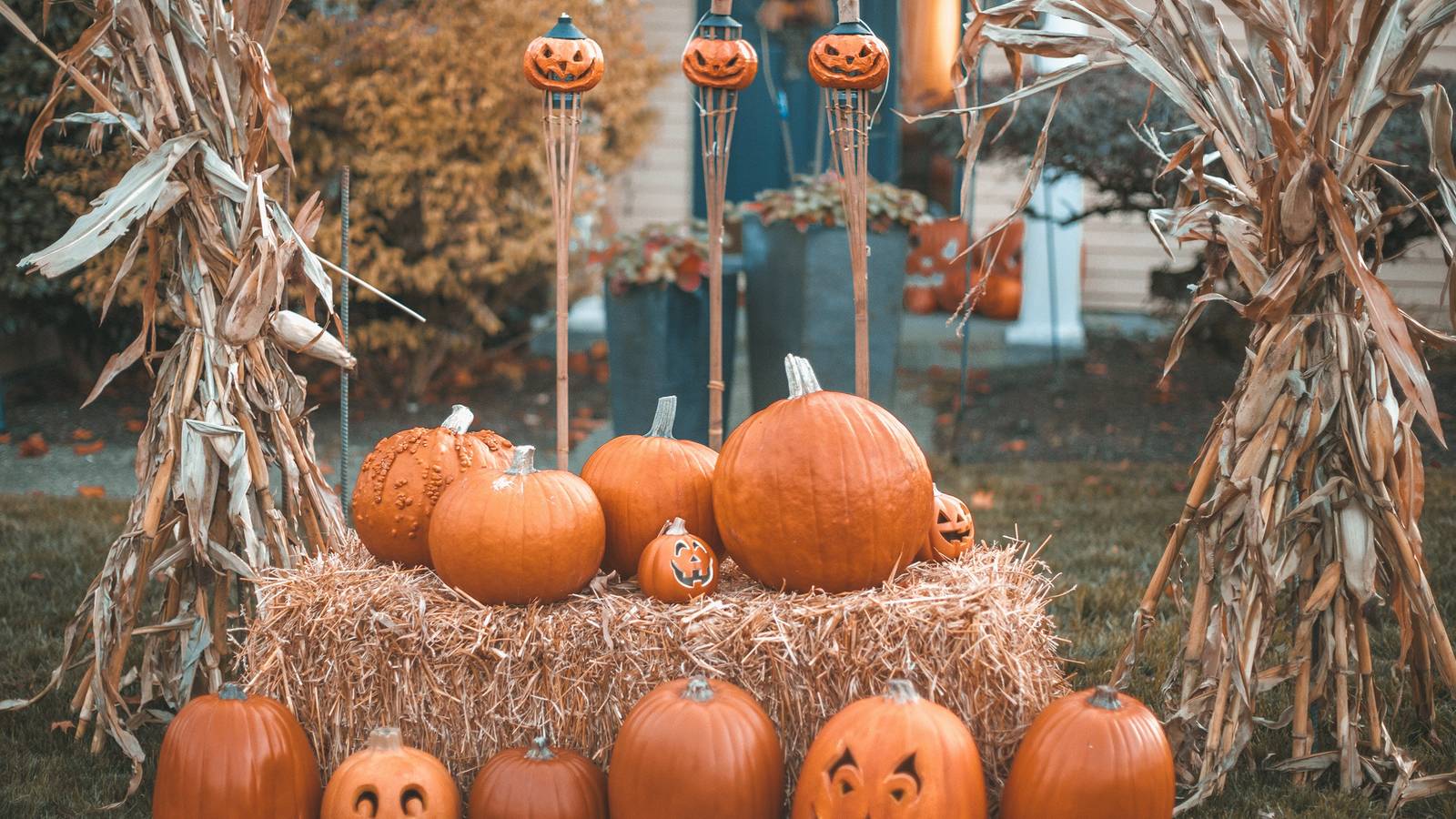5 Creative Pumpkin Ideas to Elevate Your Home Decor This Fall