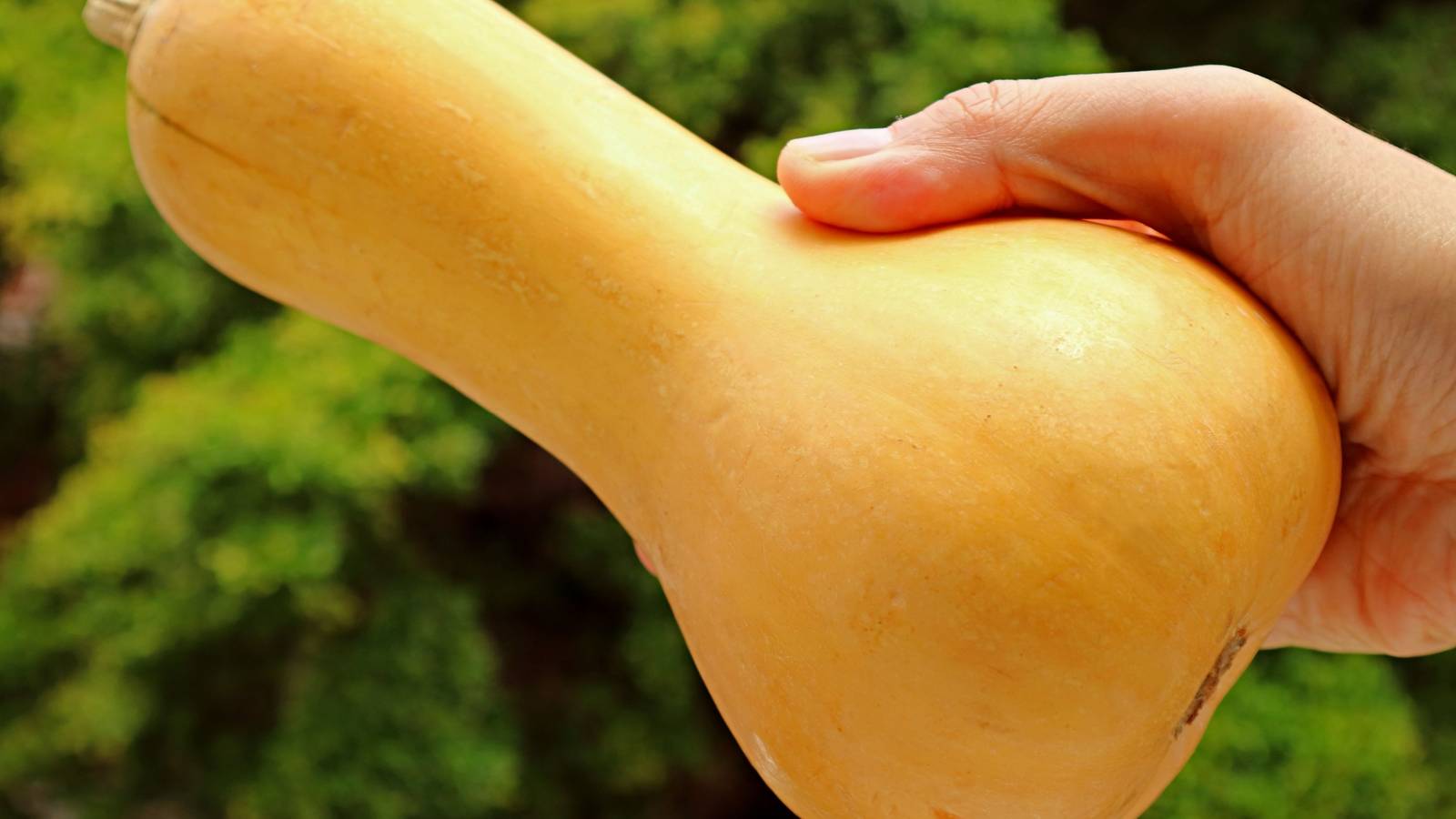 Turn a Simple Butternut Squash Into DIY Fall Decor