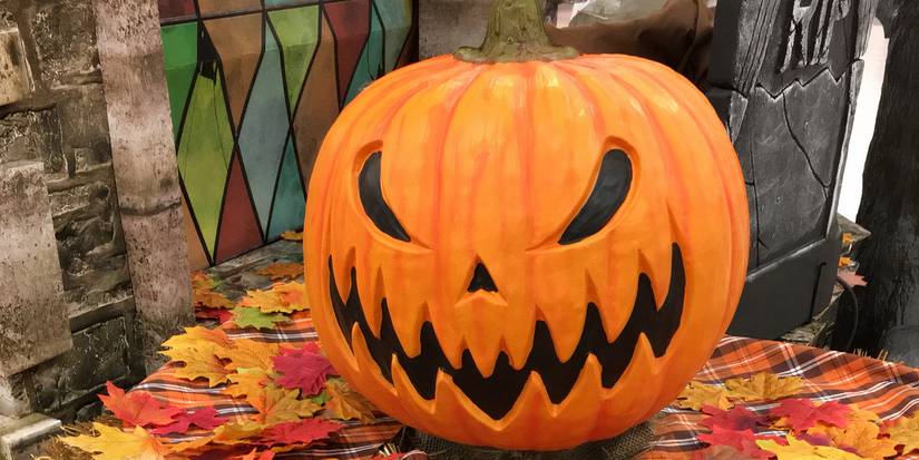 Keep Pumpkins From Rotting With a Gardeners Trick: Vinegar!