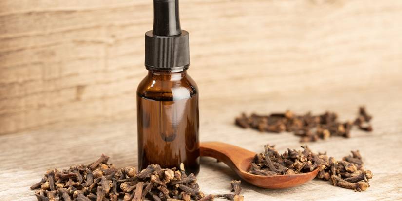Cloves: History, Uses, and Health Benefits of This Powerful Spice