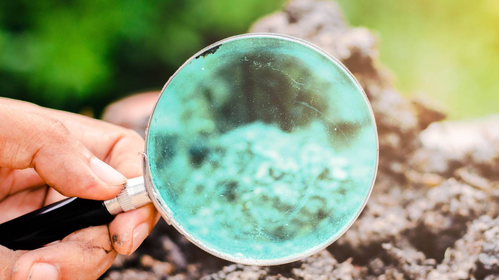 The Gut-Garden Connection: How Soil Impacts Gut Health