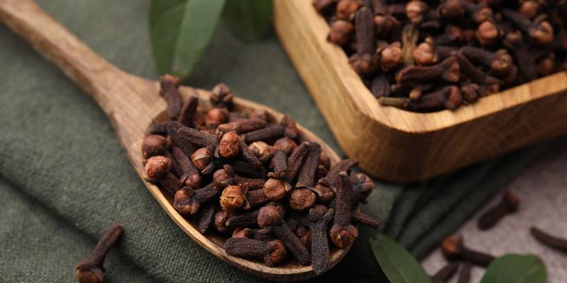 Cloves: History, Uses, and Health Benefits of This Powerful Spice