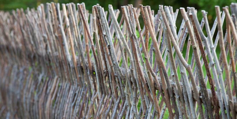 Fun Ways to Use Tree Sticks in Your Halloween Decorations
