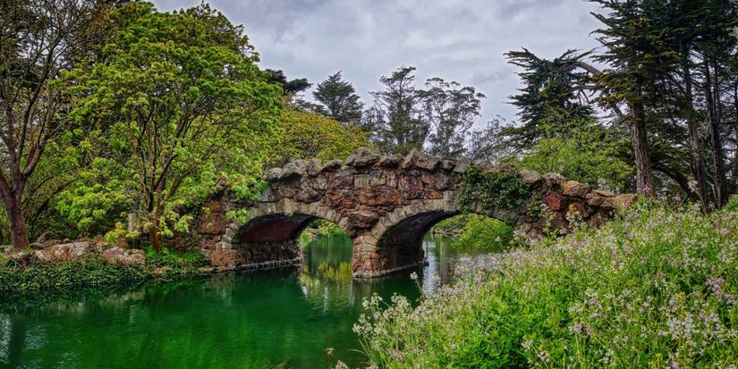 Explore Haunted Witch Trees Worldwide: A Halloween Travel Guide