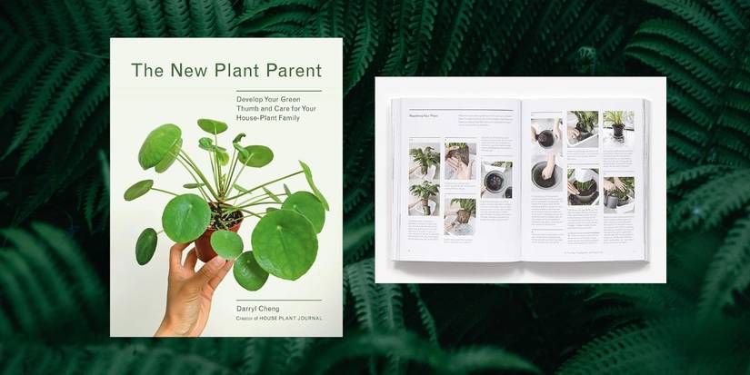 6 Books For Beginner and Advanced Home Gardeners