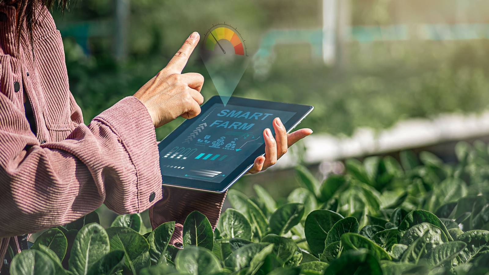 Give Your Garden an Upgrade With These 5 Smart Tools