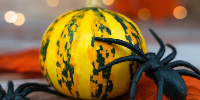 Make Fun DIY Halloween Decor With Squash