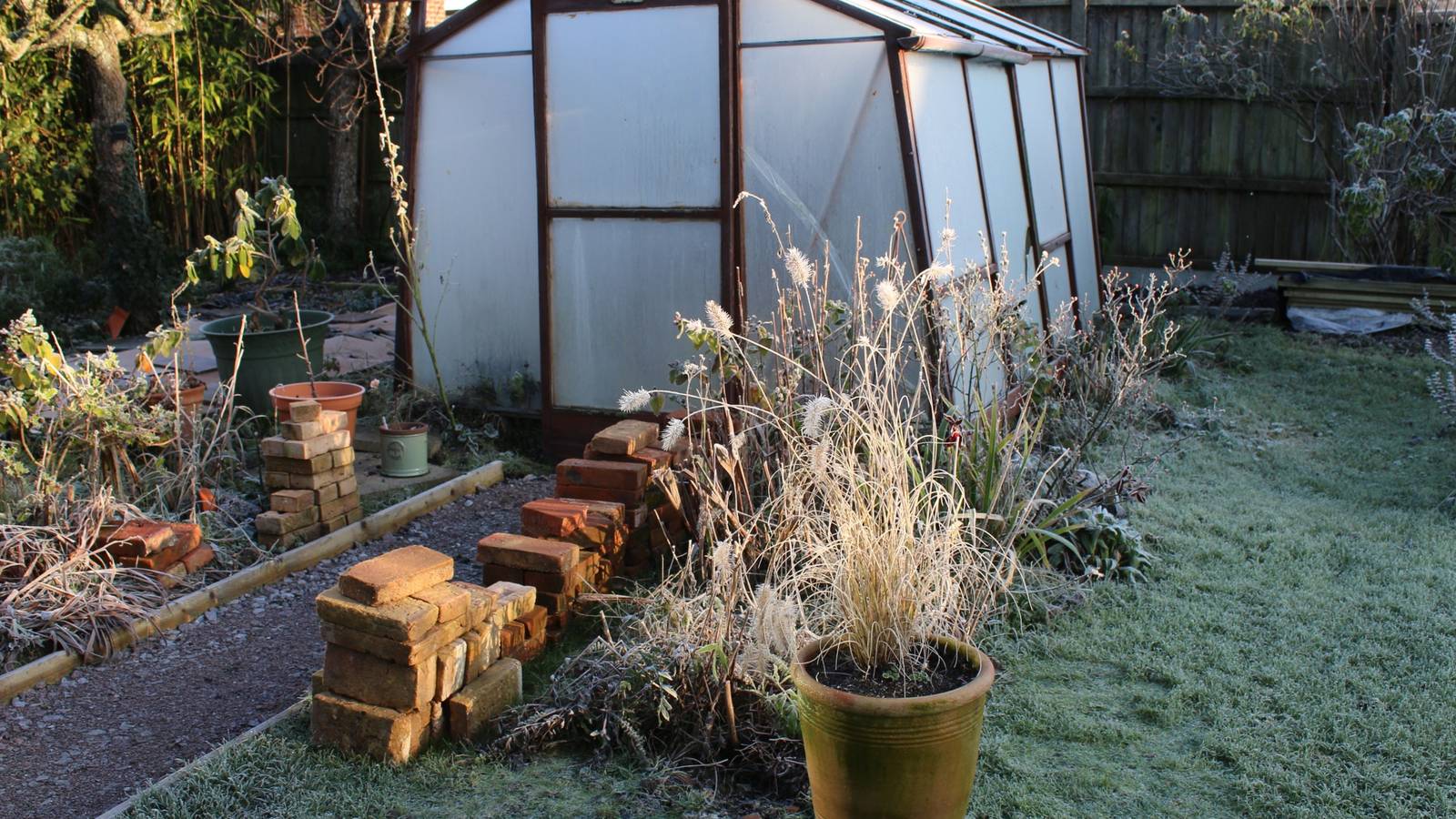 Essential Tips to Winterize Your Greenhouse for Healthy Plants