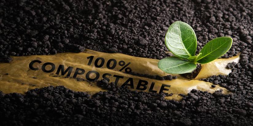 Composting 101: 5 Surprising Reasons to Start Today (and How to Do It!)