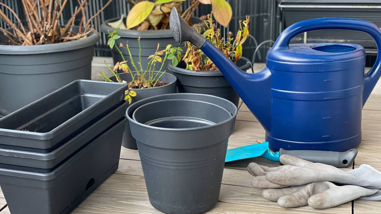 How to Winterize Your Pots and Planters