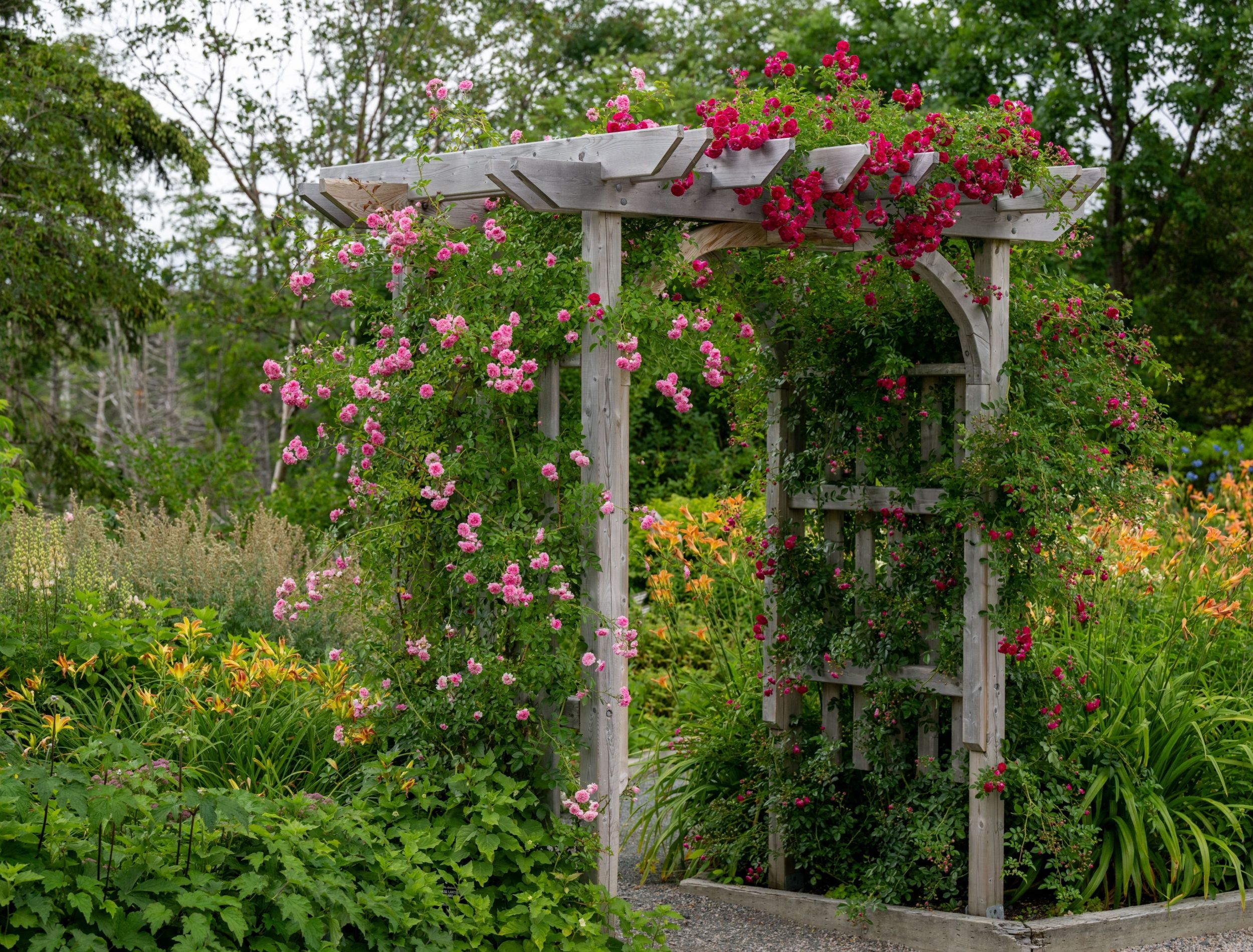 7 Multi-Purpose Yard Items That Act as Plant Supports