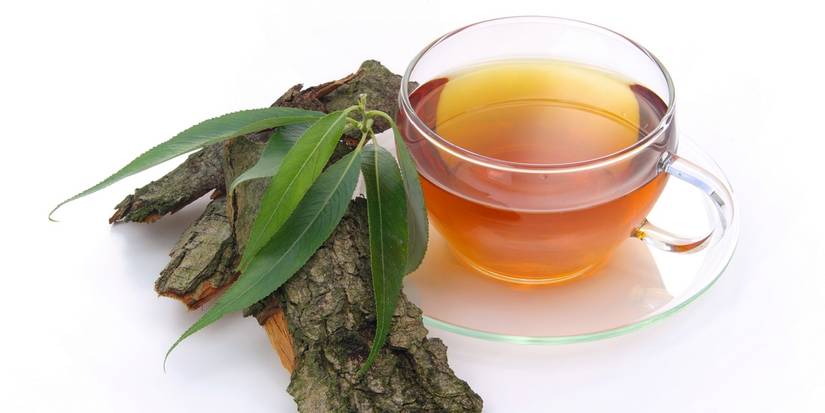 Crafting Unique Flavors: Making Tea With Tree Bark