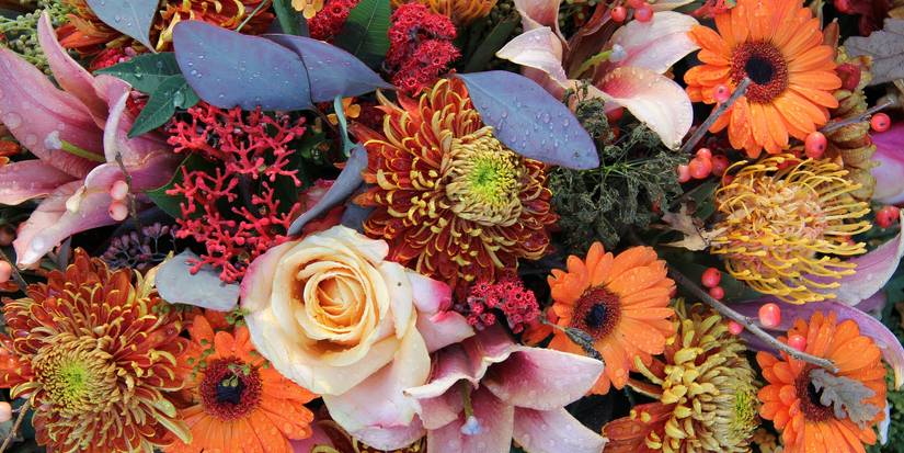 Fall Wedding Flowers: Use 5 November Flower Choices in Your Decor