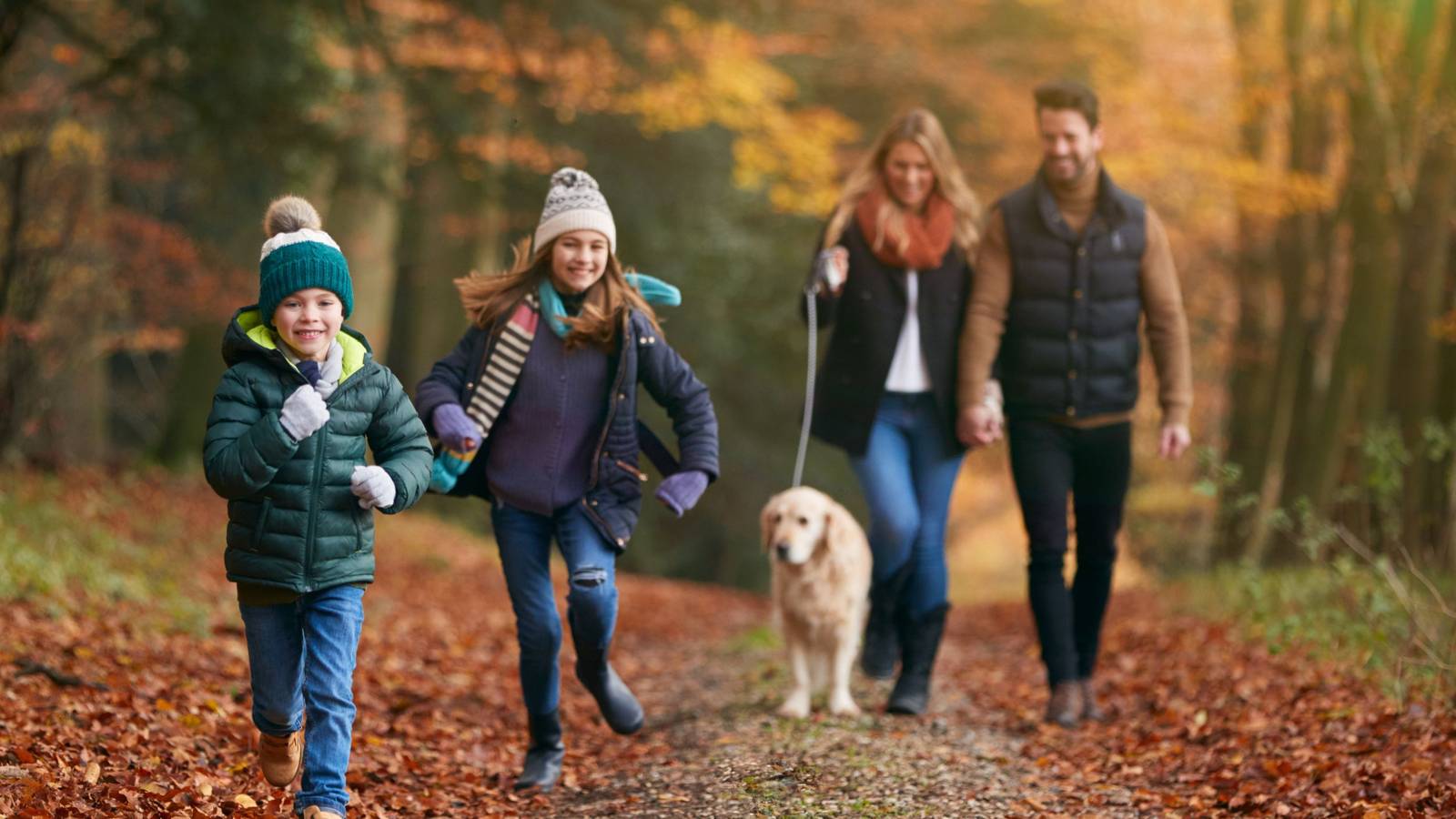 6 Outdoor and Indoor Activities to Do This Fall