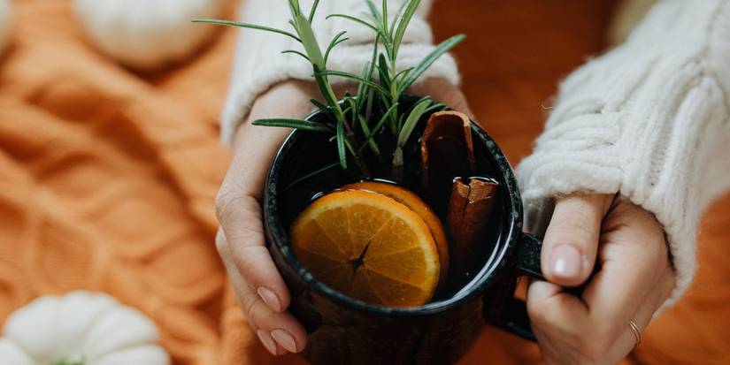 Crafting Unique Flavors: Making Tea With Tree Bark