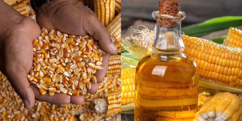 Which Veggies Make the Healthiest Cooking Oil?
