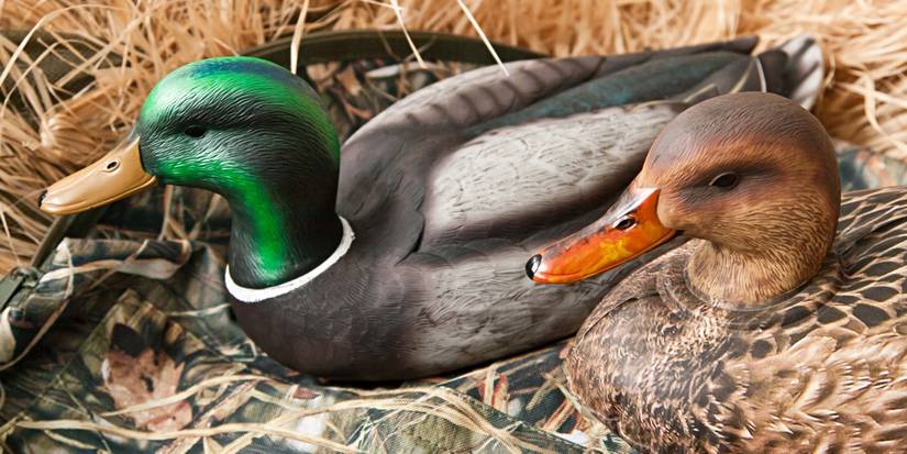 The Rise of Predator Decoys in Pest Management