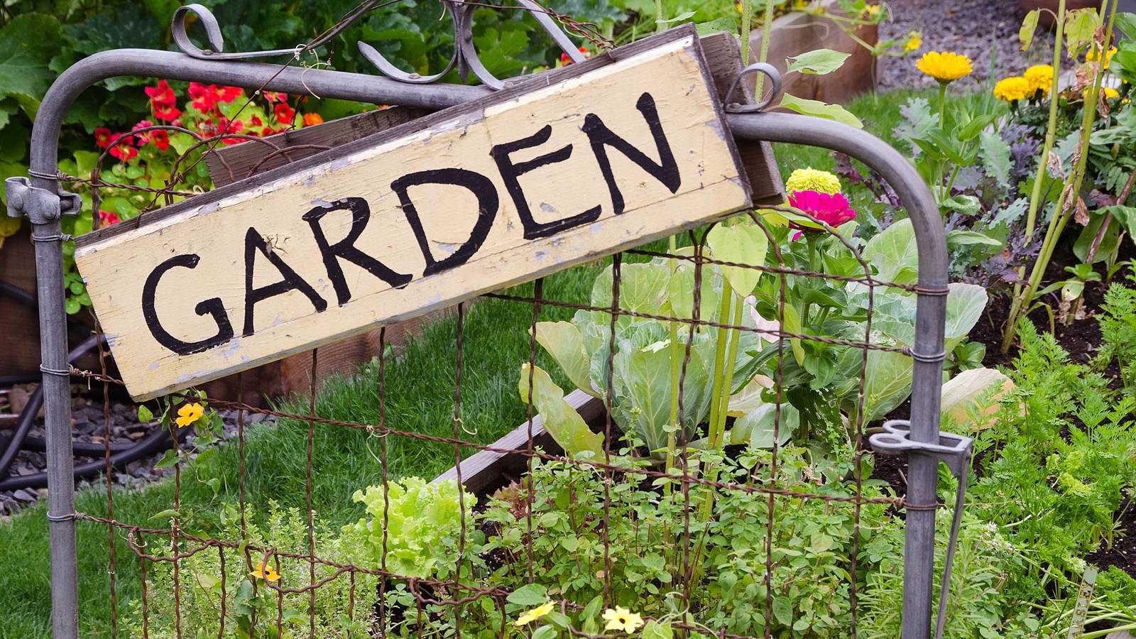 Sustainable Charm: Ways to Incorporate Reclaimed Wood Into Your Garden