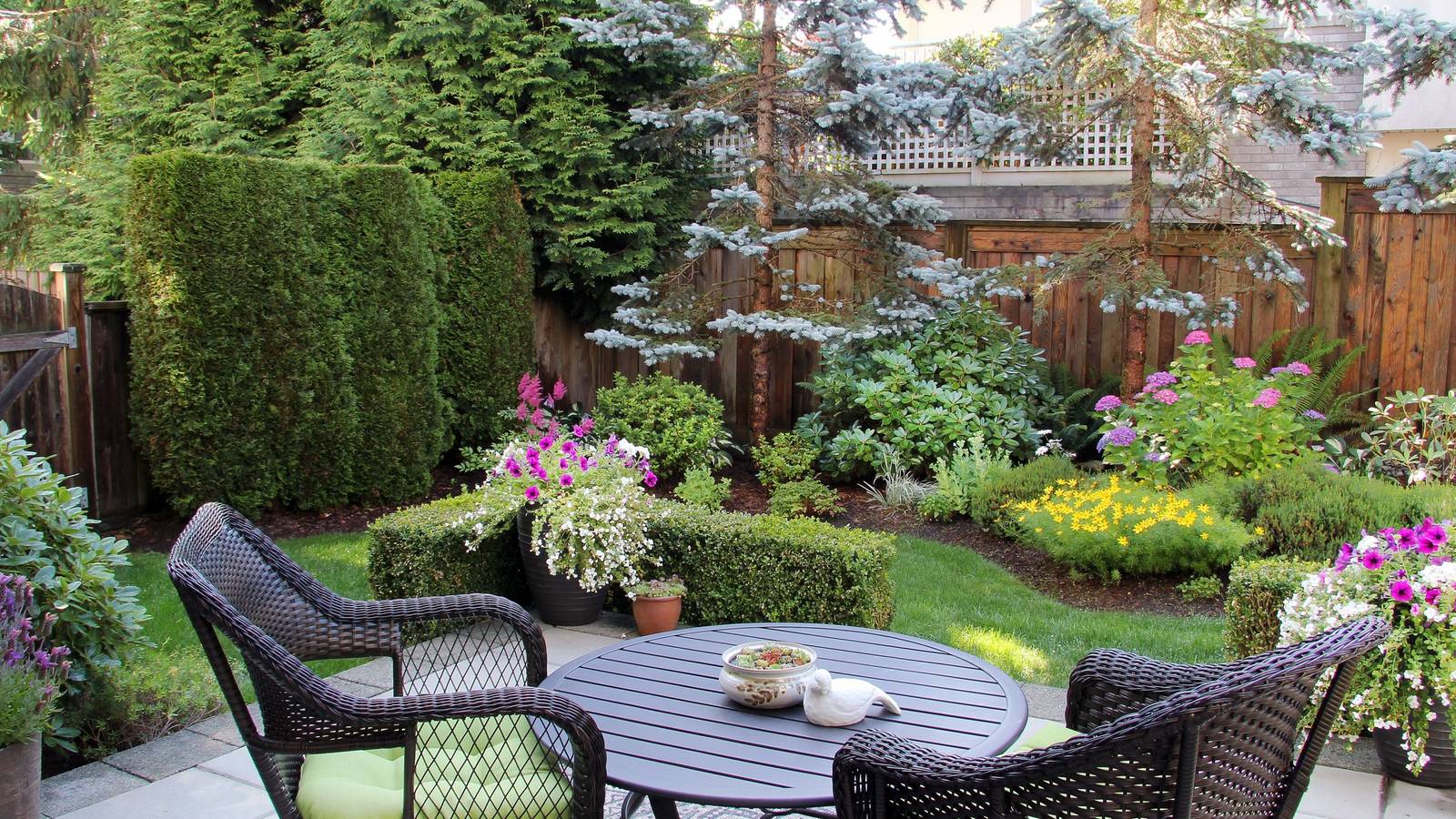 Creating a Seamless Backyard: The Art of Transitional Zones