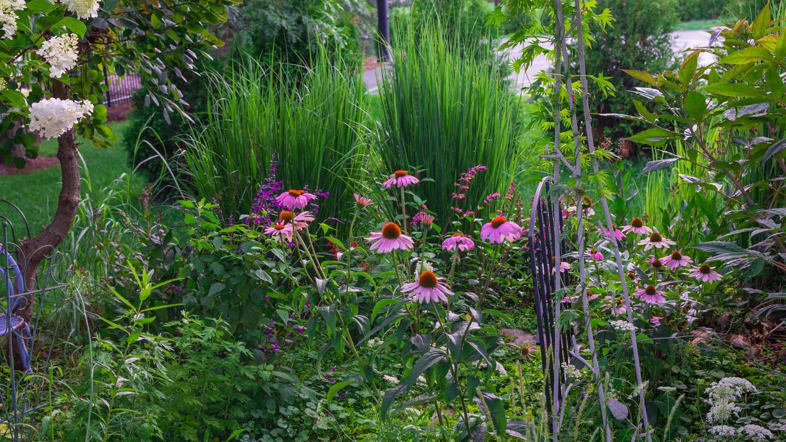 Transform Your Yard with Microclimate Gardens: Create Miniature Ecosystems