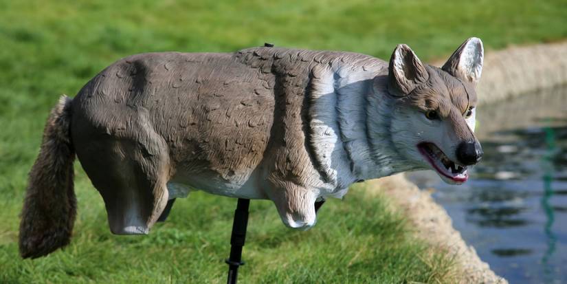 The Rise of Predator Decoys in Pest Management
