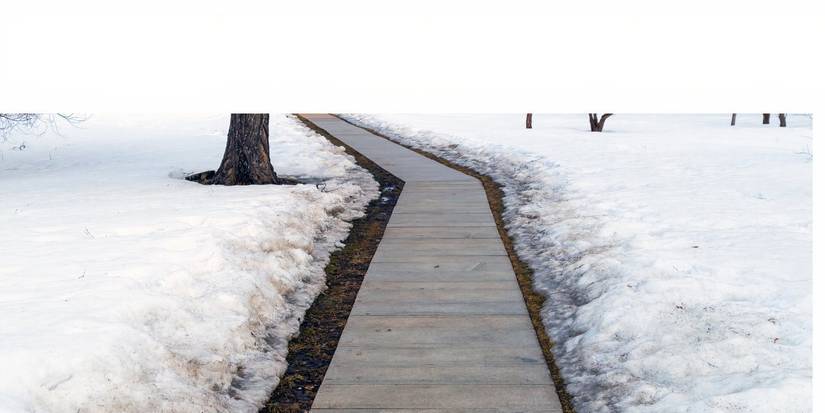 Enchanting Landscaping Tips For a Winter Wonderland