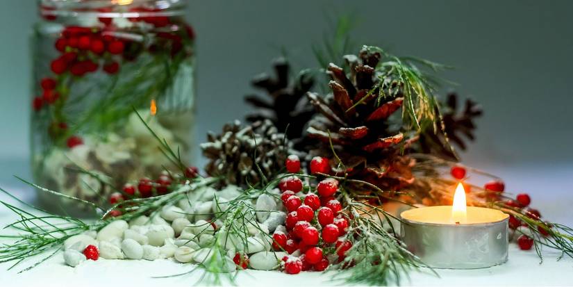 Find Festive Ways to Use Holly in Christmas Decor
