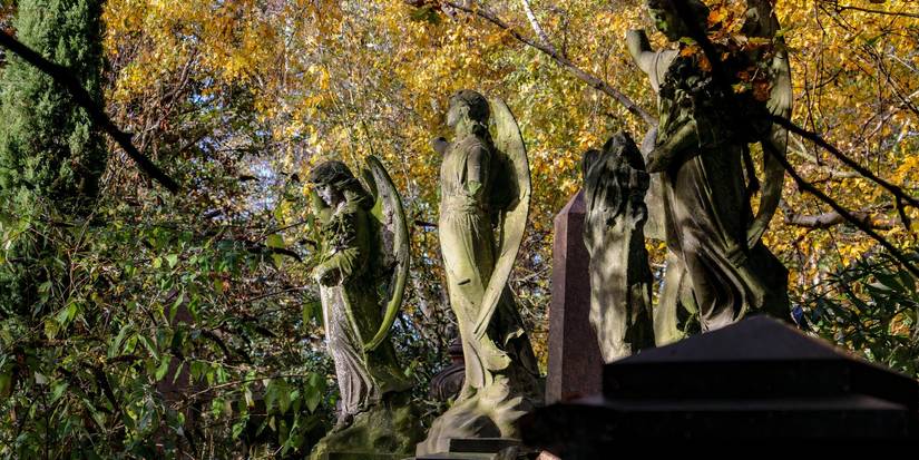Rewilding Graveyards To Turn Them Into a Natural Landscape